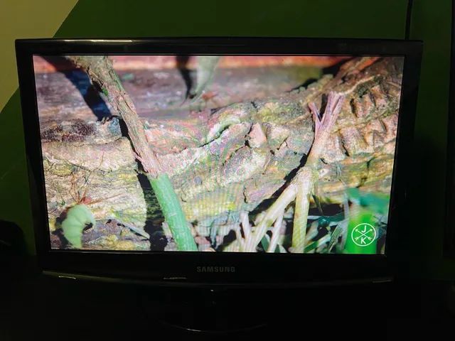 "tv samsung 2033m" no Brasil