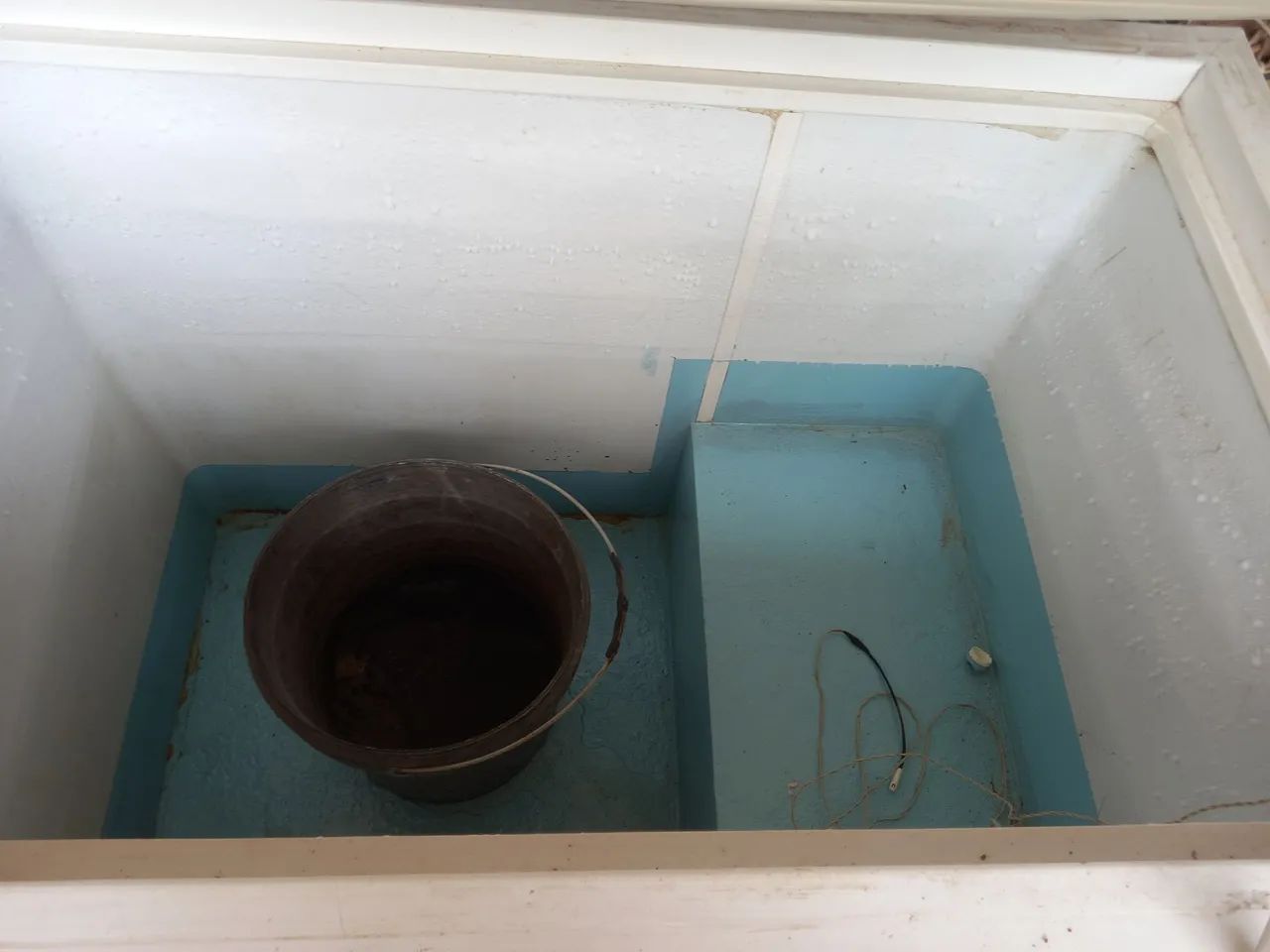 Frzeer 300lt - Geladeiras e Freezers - Vila Maria Luiza, Goiânia ...