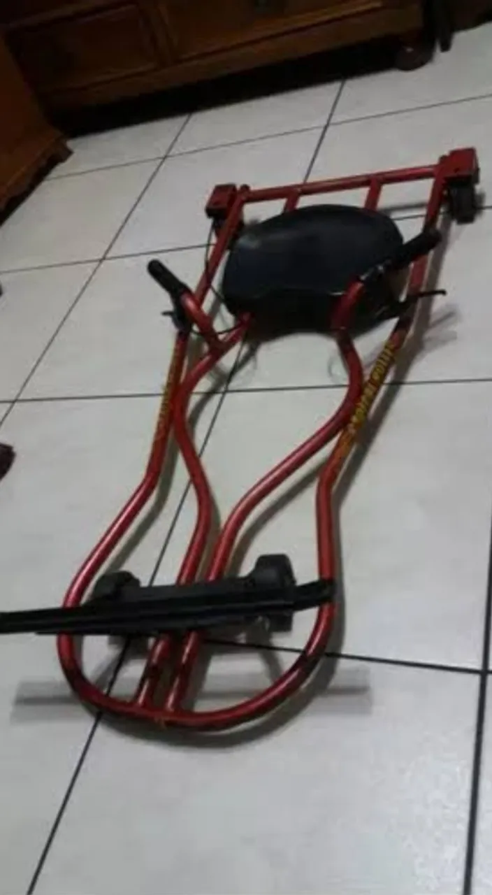 "carrinhos de rolima" no Brasil