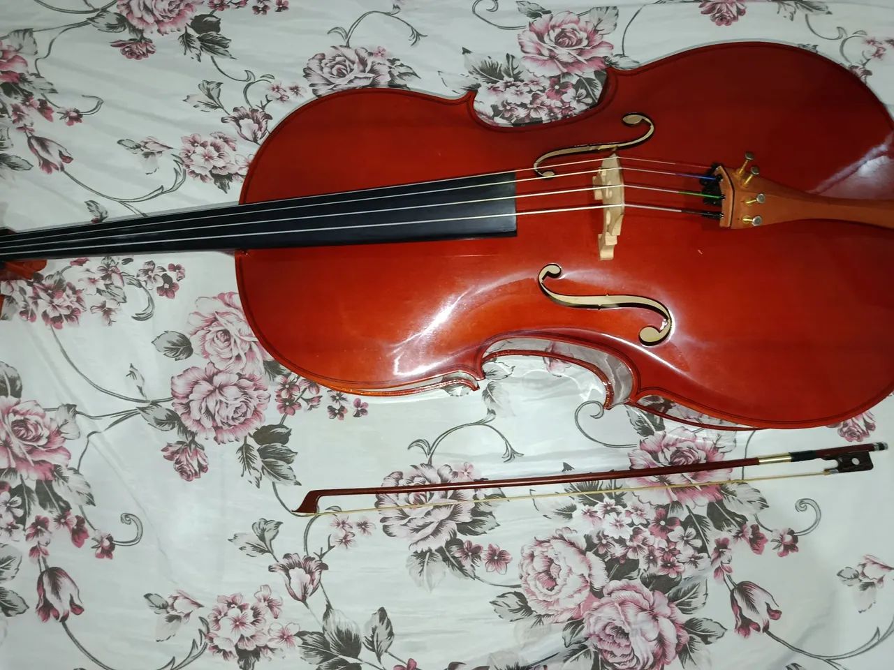 Violoncelo Profissional Hofman 4/4 linha secundária heagle ...