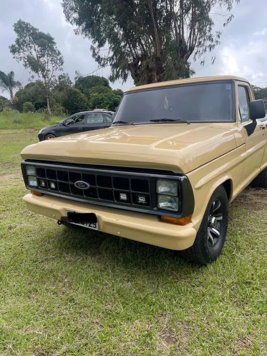 FORD F-1000 Usados e Novos