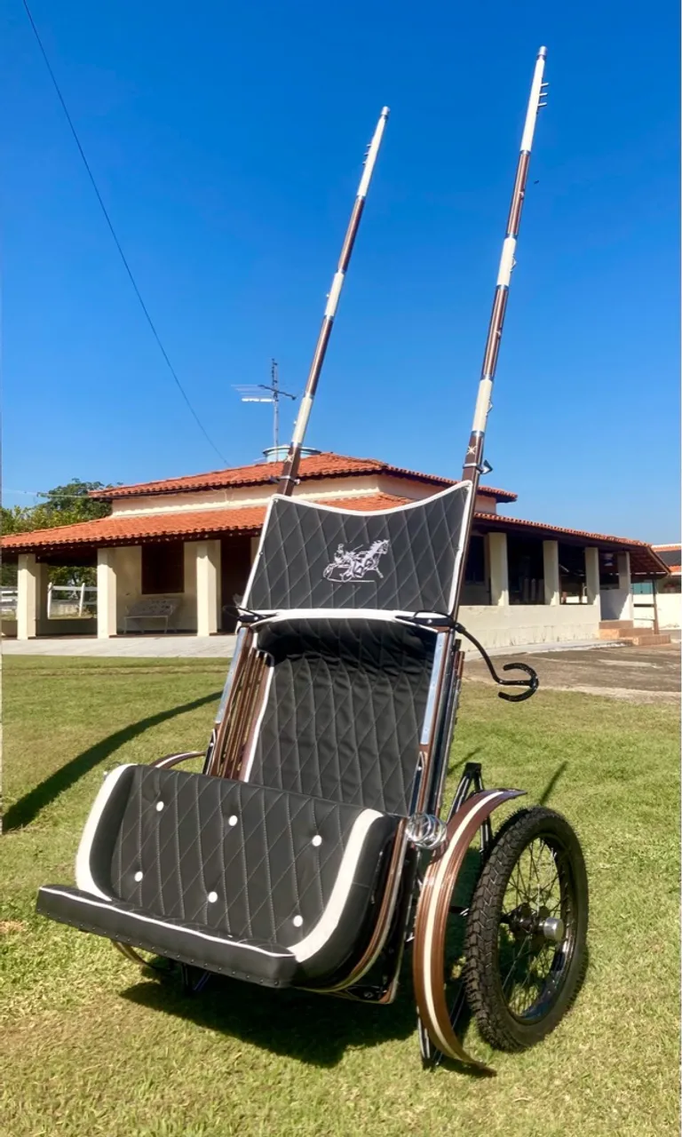 "charrete" no Brasil