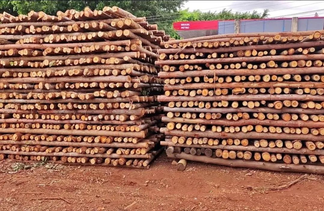 Pau de escoramento para Laje - Fundação e Estrutura - Parque Vila Verde ...