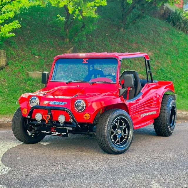 FYBER BUGGY Usados e Novos