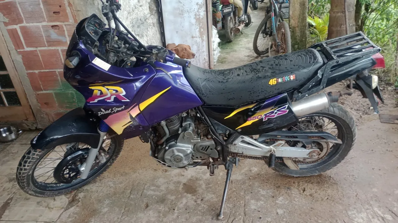 Motos SUZUKI DR no Brasil