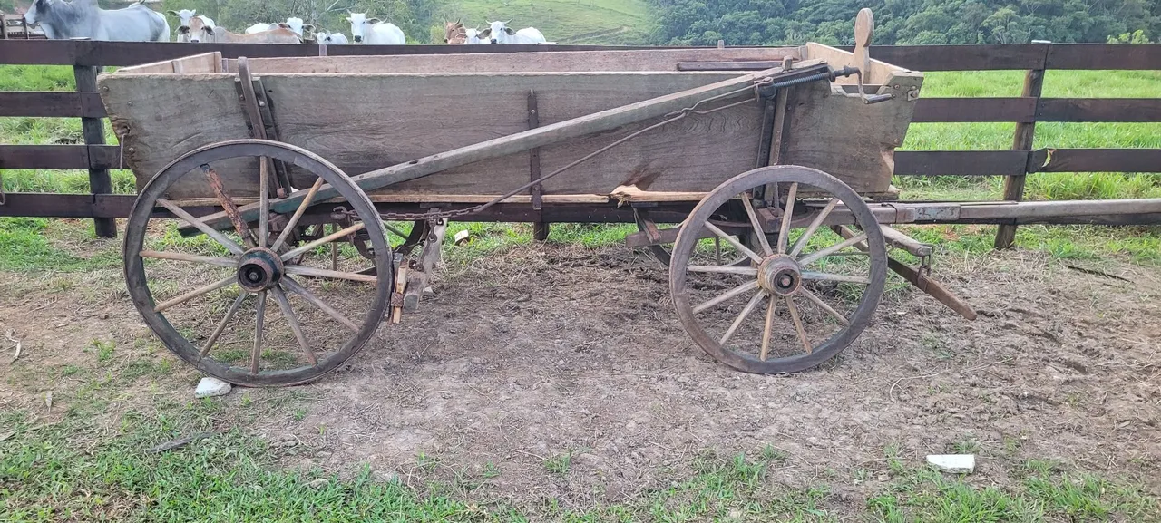 "carroca antiga" no Brasil