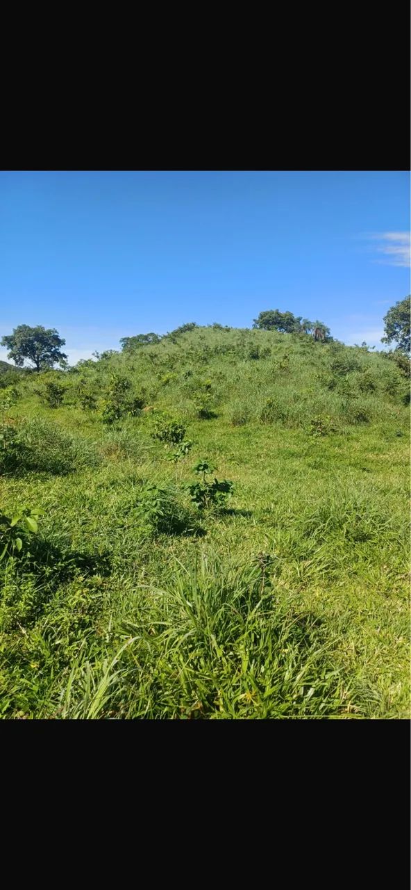 Uma area de 11.72 hectare equivale a 2/5 alqueire - Terrenos, sítios e ...