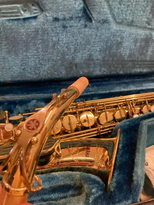 "saxofone alto" - Instrumentos musicais no Brasil