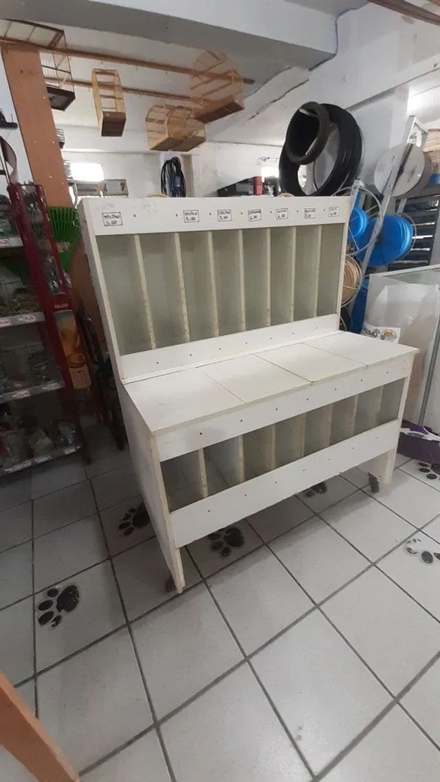 Anúncios - Tijucas, Outras cidades - Santa Catarina