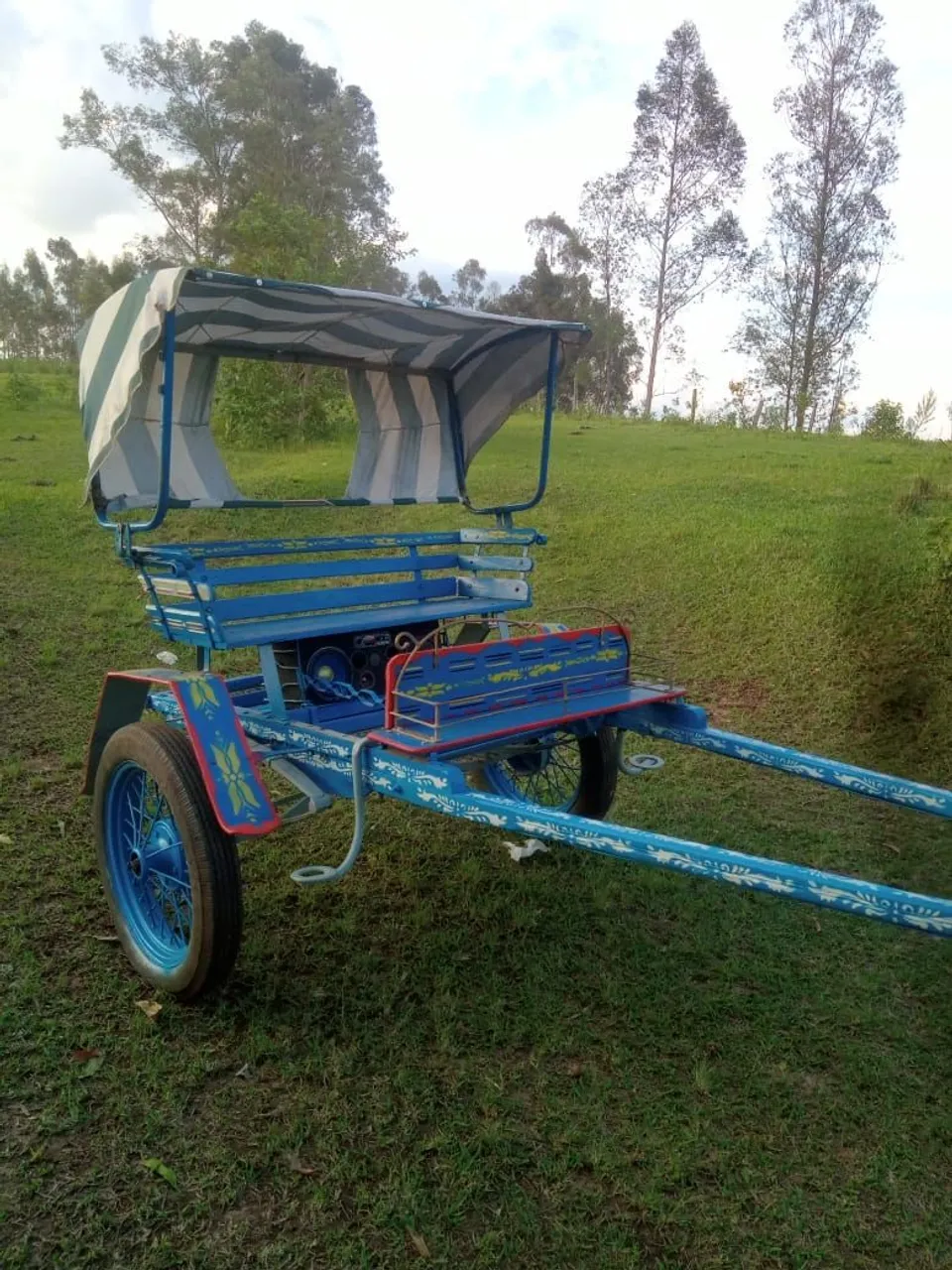 "charrete" no Brasil