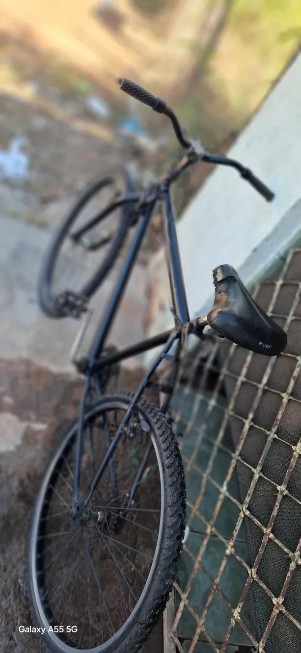 "bicicletas simples" no Brasil