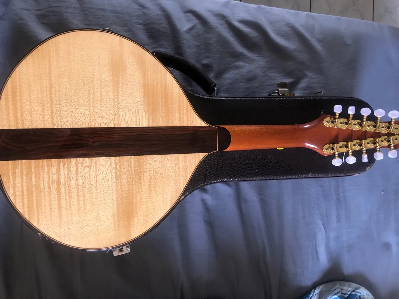 "bandolim" no Brasil