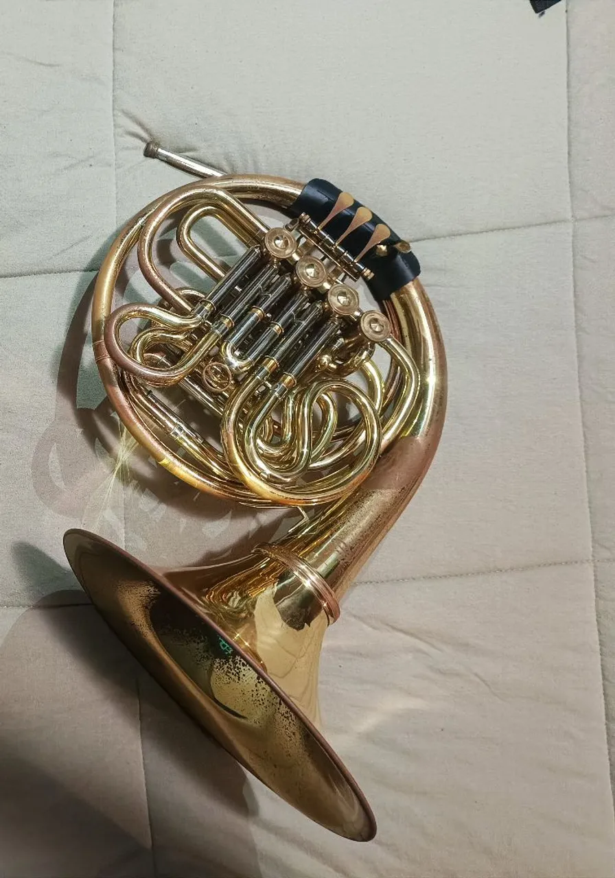 "instrumento trompa" no Brasil