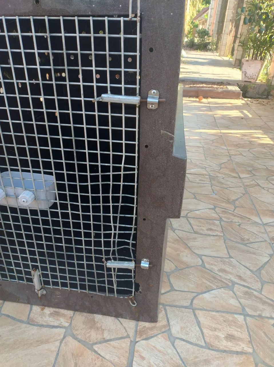 Caixa de transporte internacional cachorro grande - Cachorros - Nova ...