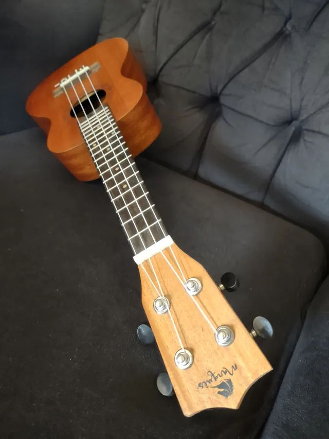 "ukulele concerto" - Instrumentos musicais no Brasil