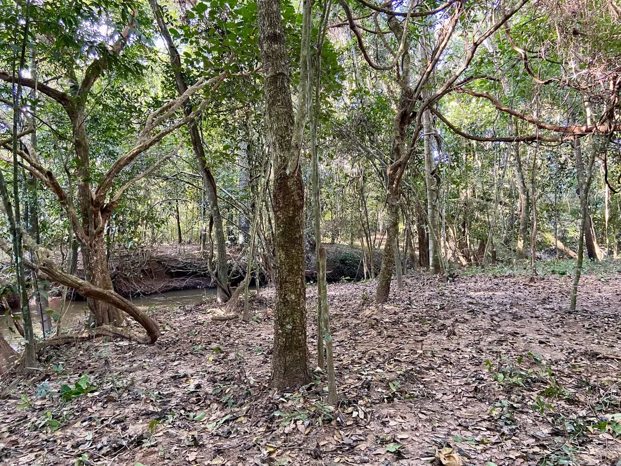 Chácara parcelada no RIO URU - 20.000 m2 - Terrenos, sítios e fazendas ...