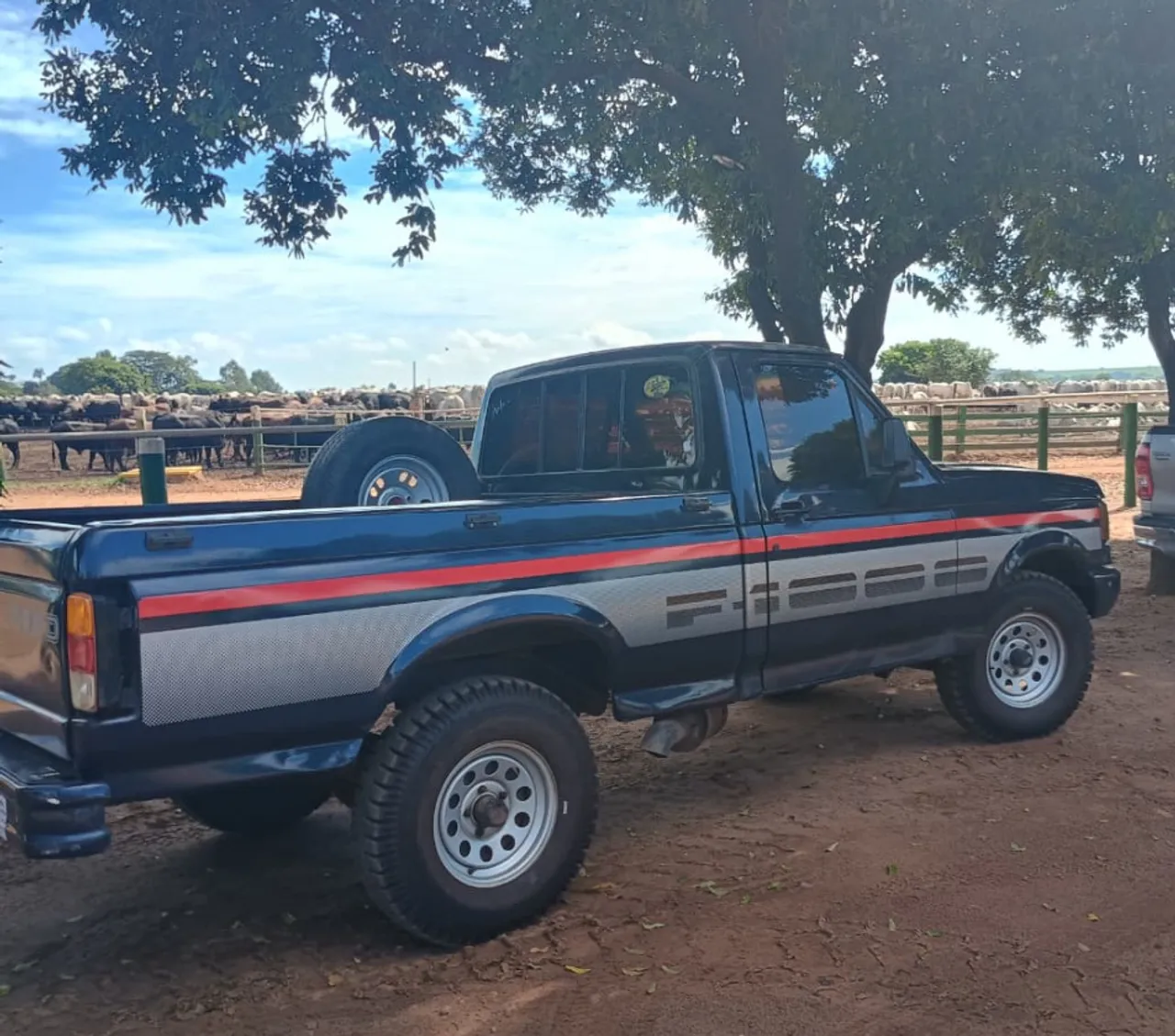 FORD F-1000 Usados e Novos em SP