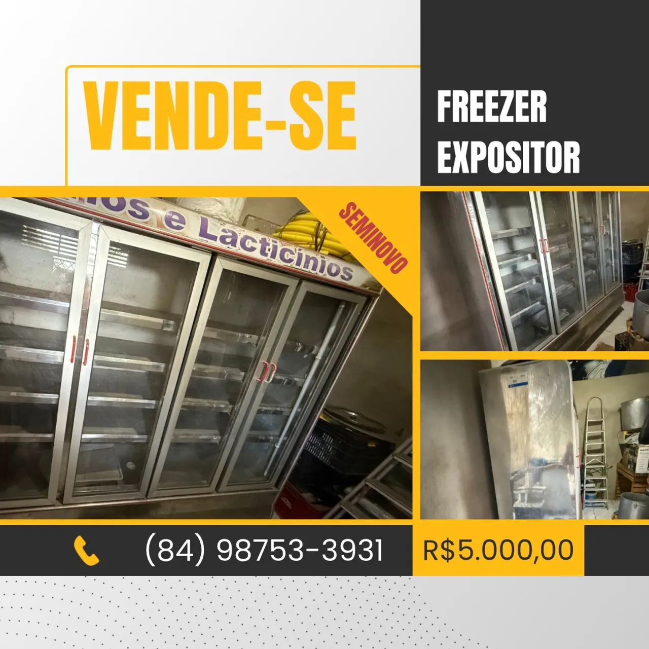 "freezer frios e laticinios" - Geladeiras e Freezers no Brasil
