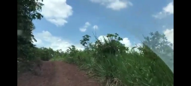 250 Hectares por 1,6 milhões de reais no Pará - Terrenos, sítios e ...