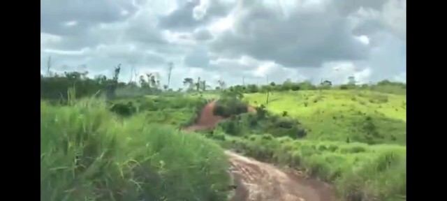250 Hectares por 1,6 milhões de reais no Pará - Terrenos, sítios e ...
