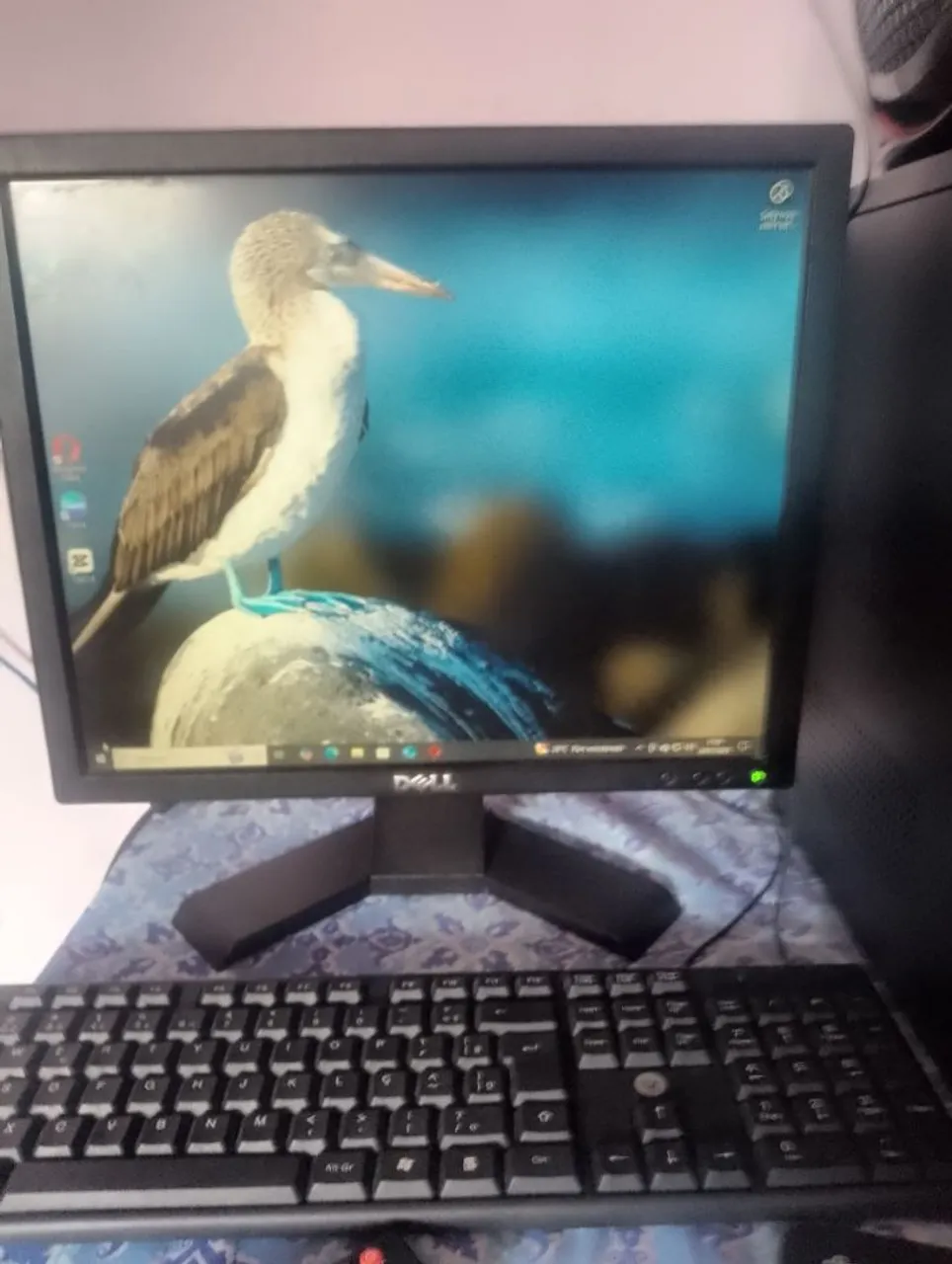 "tela de computador" - Computadores e Desktops no Brasil