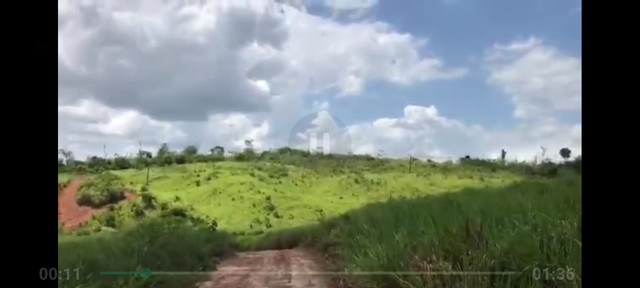 250 Hectares por 1,6 milhões de reais no Pará - Terrenos, sítios e ...