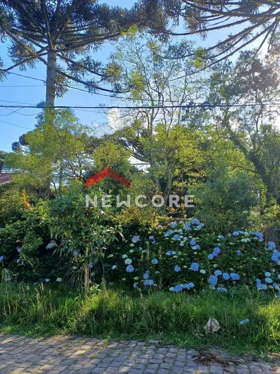 Lote em rua Luis gali - Parque das Hortências - Canela/RS - Terrenos ...