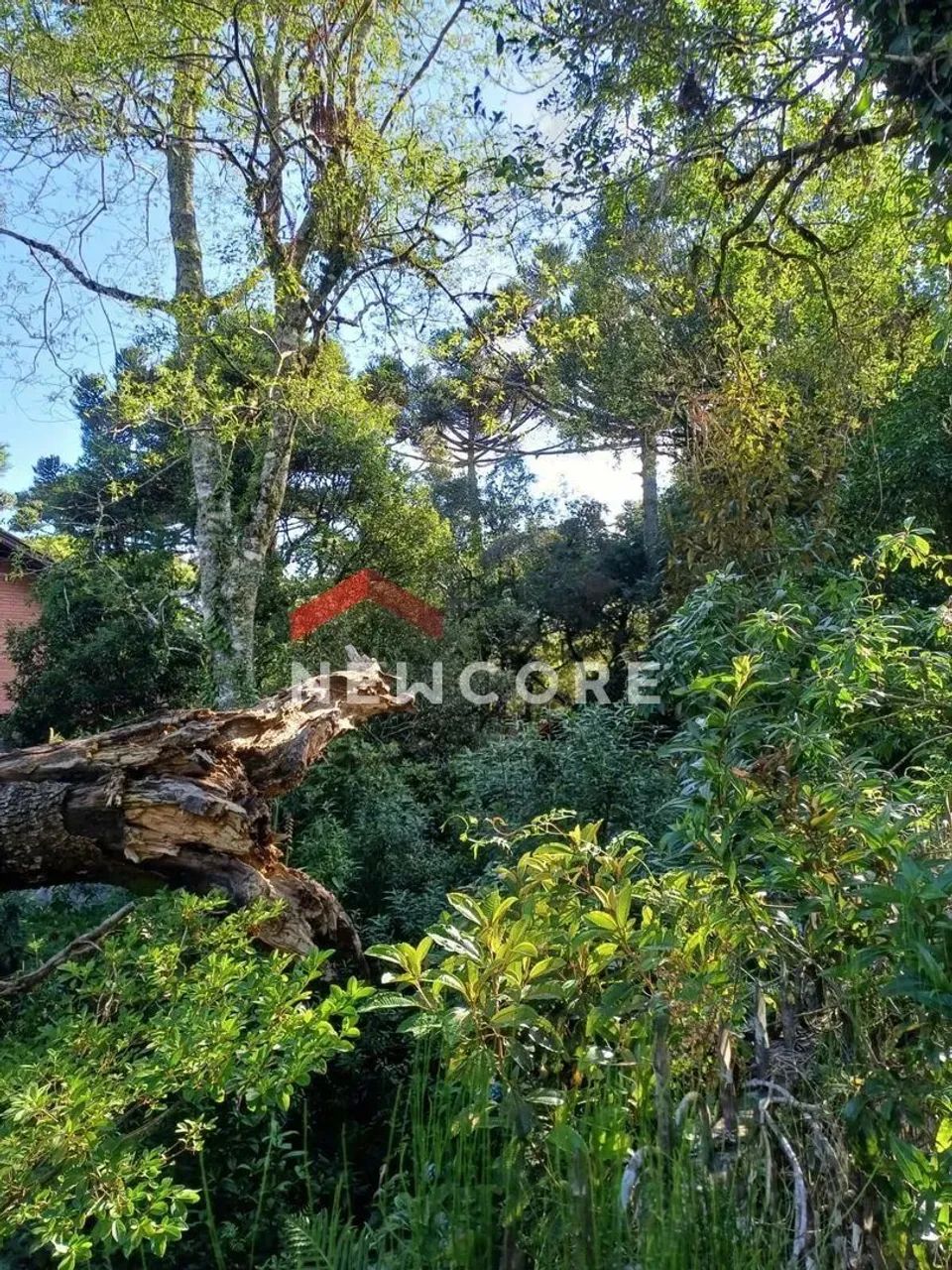 Lote em rua Luis gali - Parque das Hortências - Canela/RS - Terrenos ...