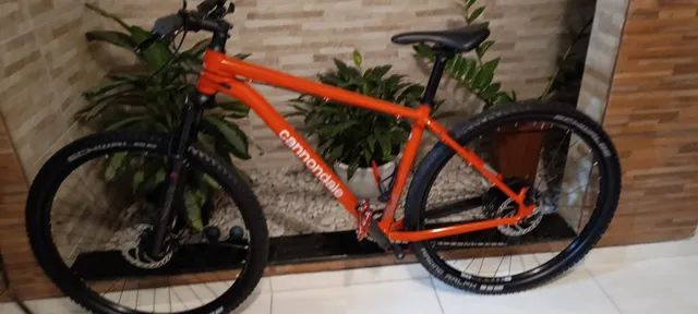 "trailer 5 rodas" no Brasil