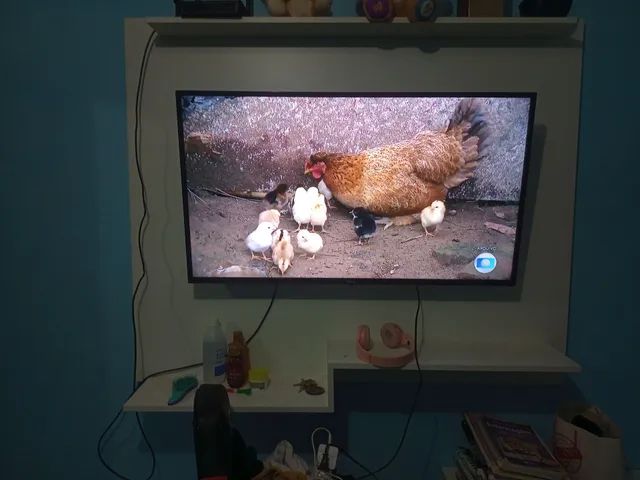 "tv 44 polegadas" no Brasil