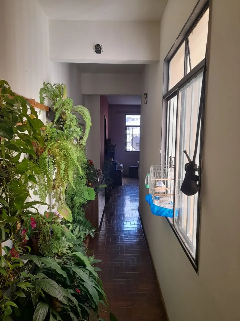 "apartamentos centro bh direto com proprietário" - Imóveis no Brasil ...