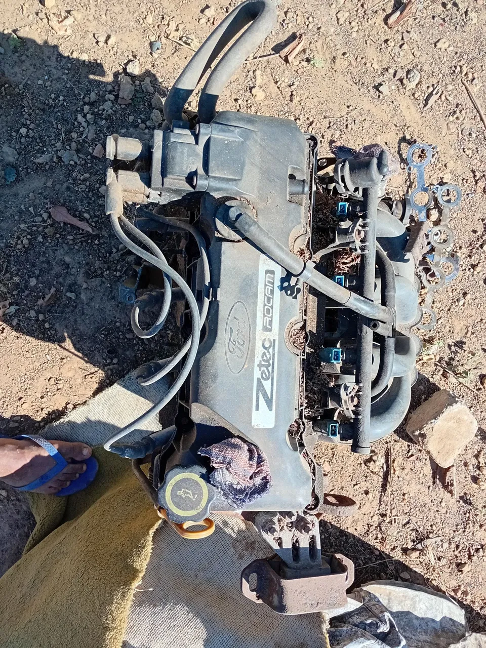 "motores zetec" no Brasil