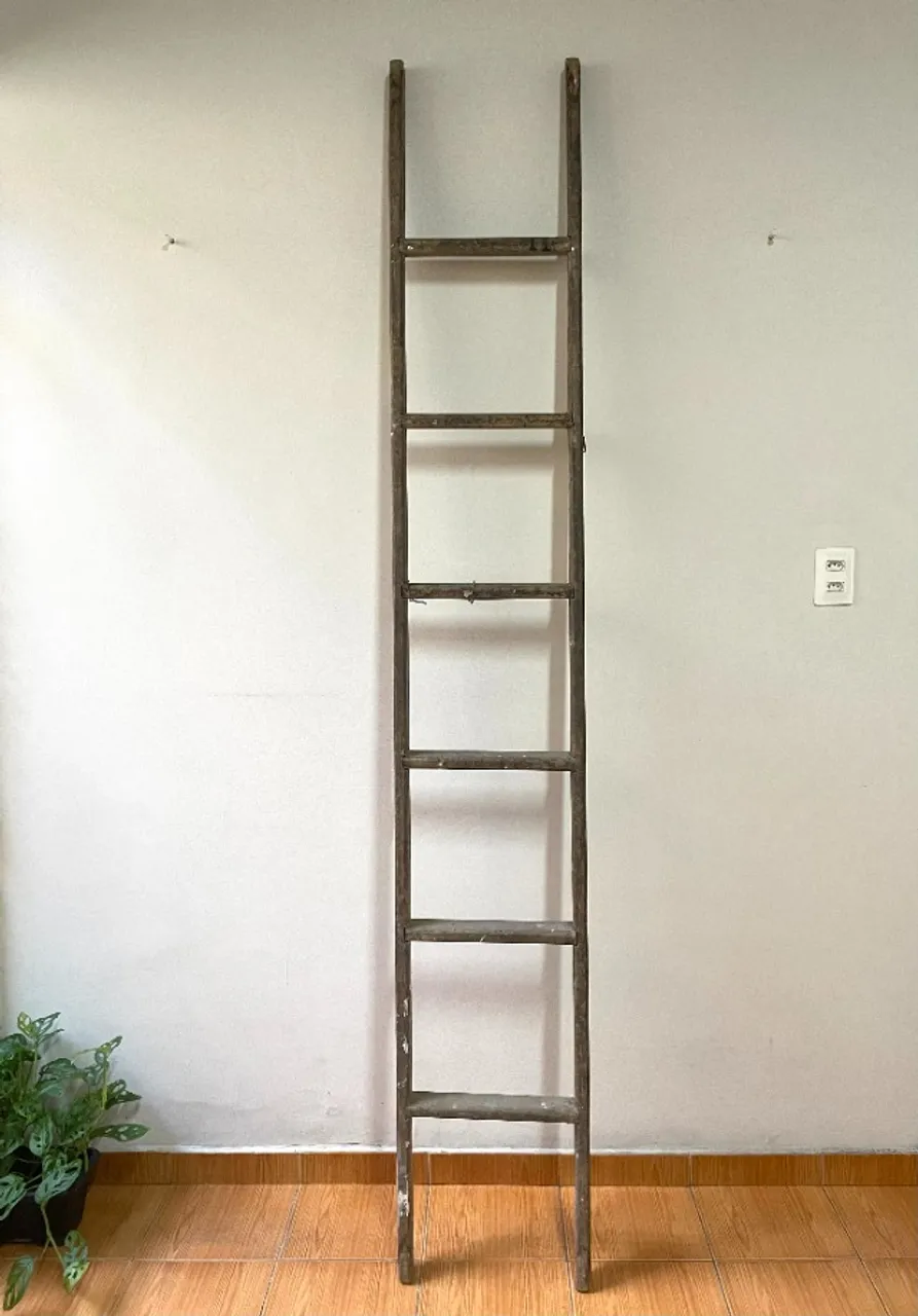 "escada 6 metros" no Brasil