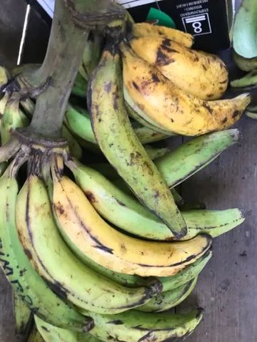 "banana pacovan" no Brasil