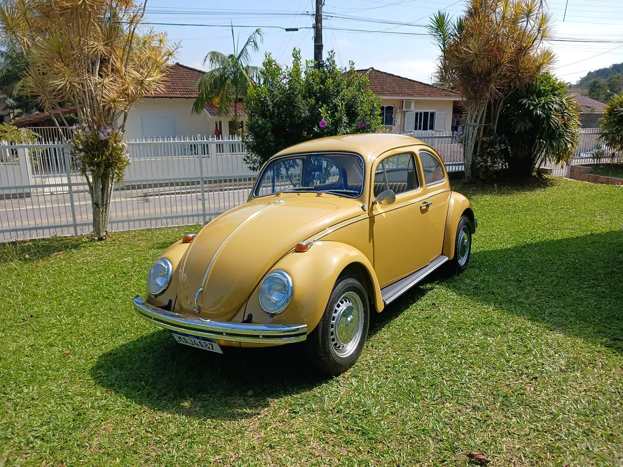 Volkswagen Fusca 1971 Usados e Novos