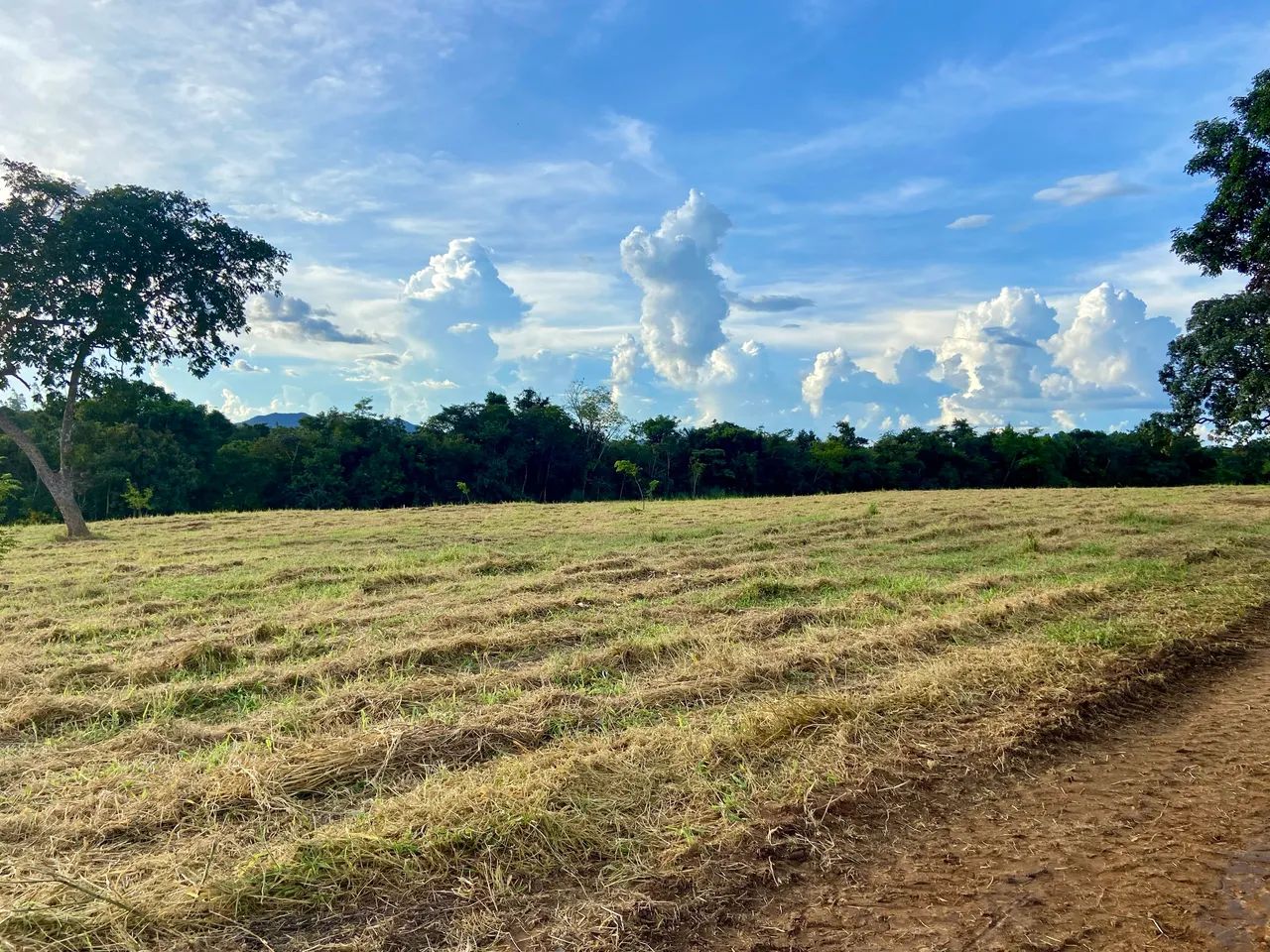 Chácara parcelada no RIO URU - 20.000 m2 - Terrenos, sítios e fazendas ...