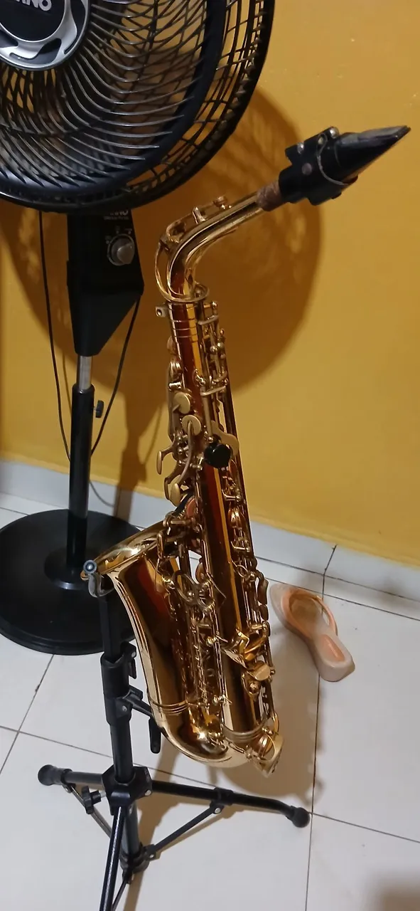 "saxofone alto" - Instrumentos musicais no Brasil