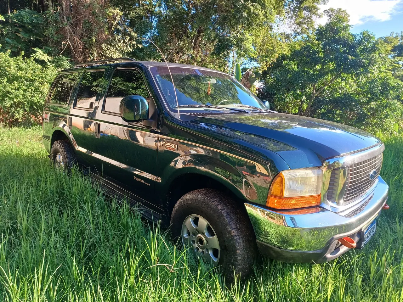 FORD F-250 Usados e Novos