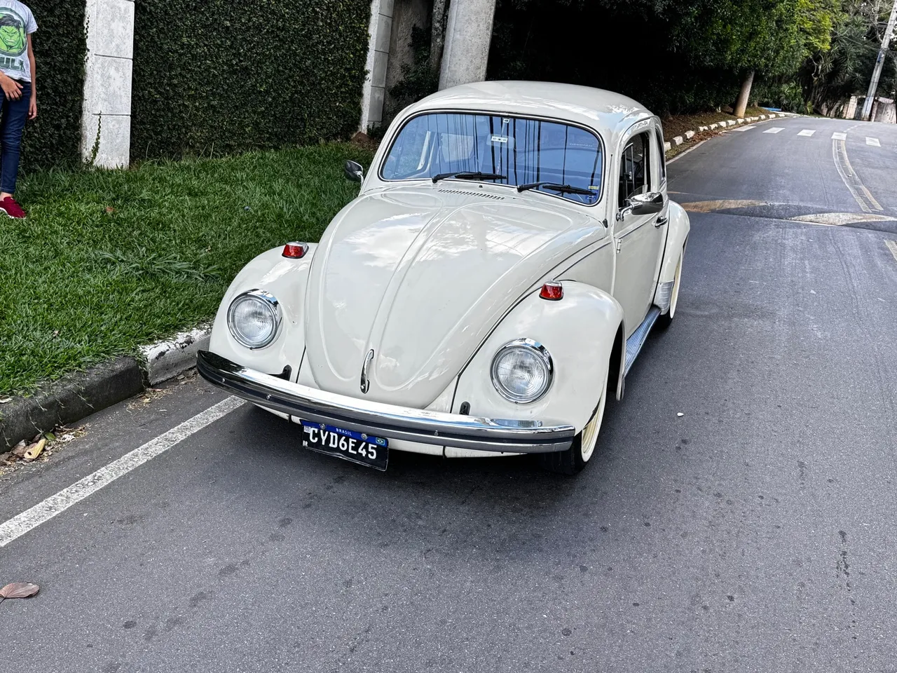 VOLKSWAGEN FUSCA 1974 Usados e Novos