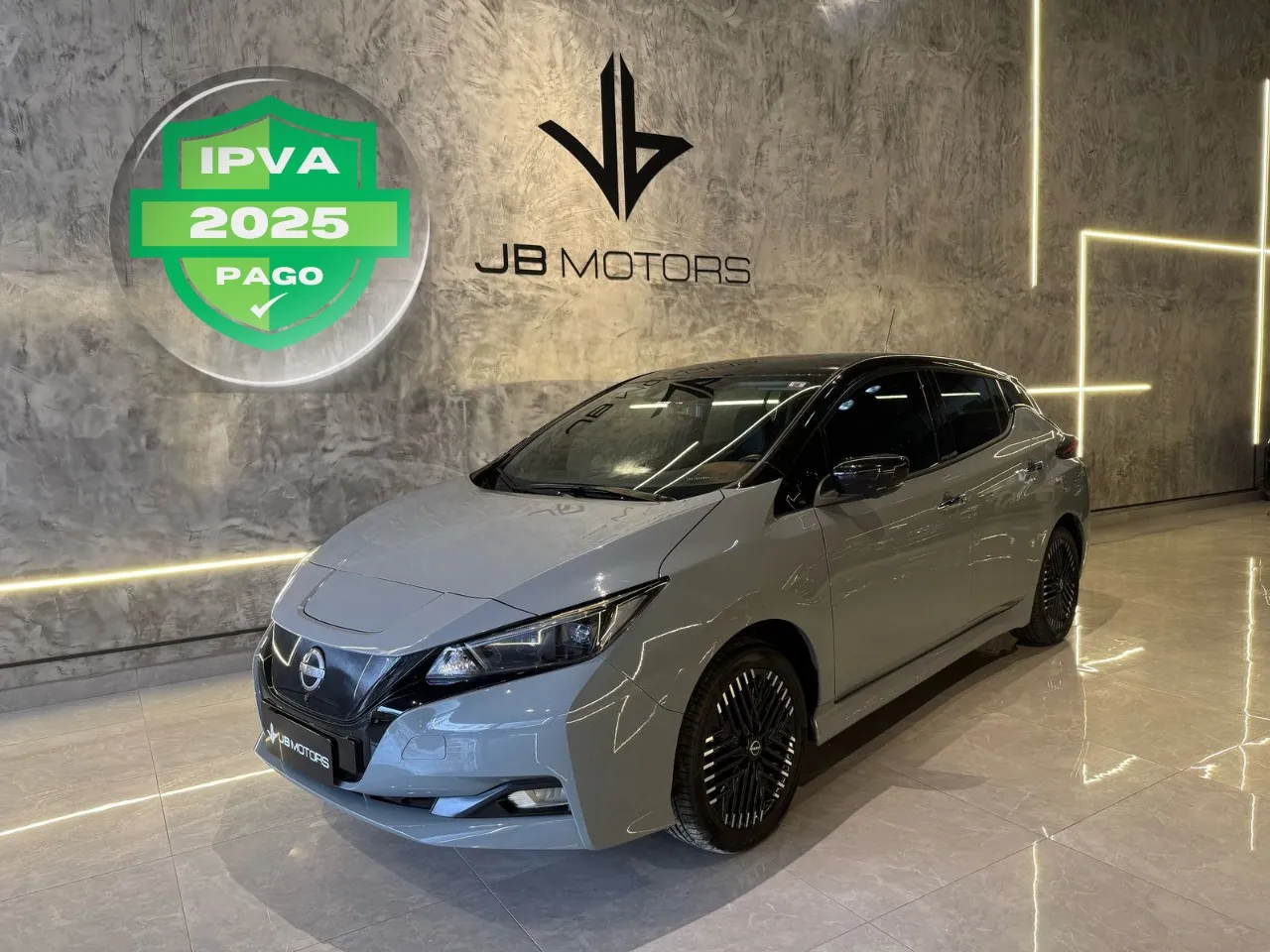 NISSAN LEAF Usados e Novos