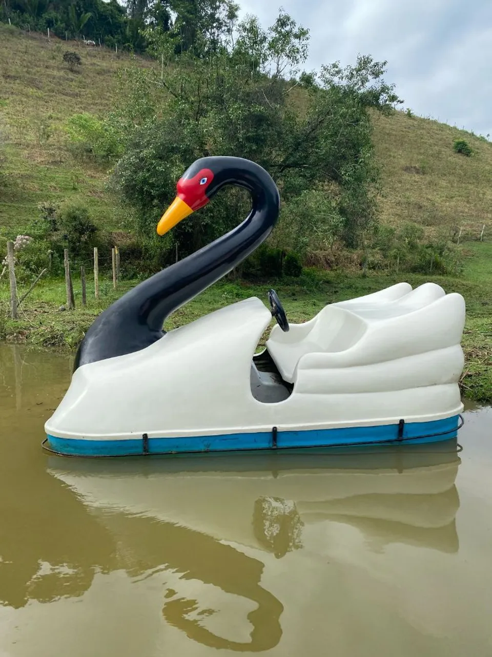 "pedalinho" no Brasil