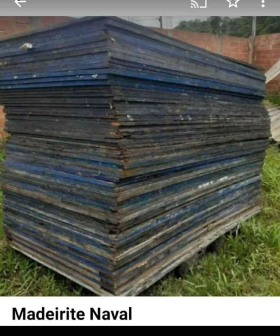 "madeirite" no Brasil