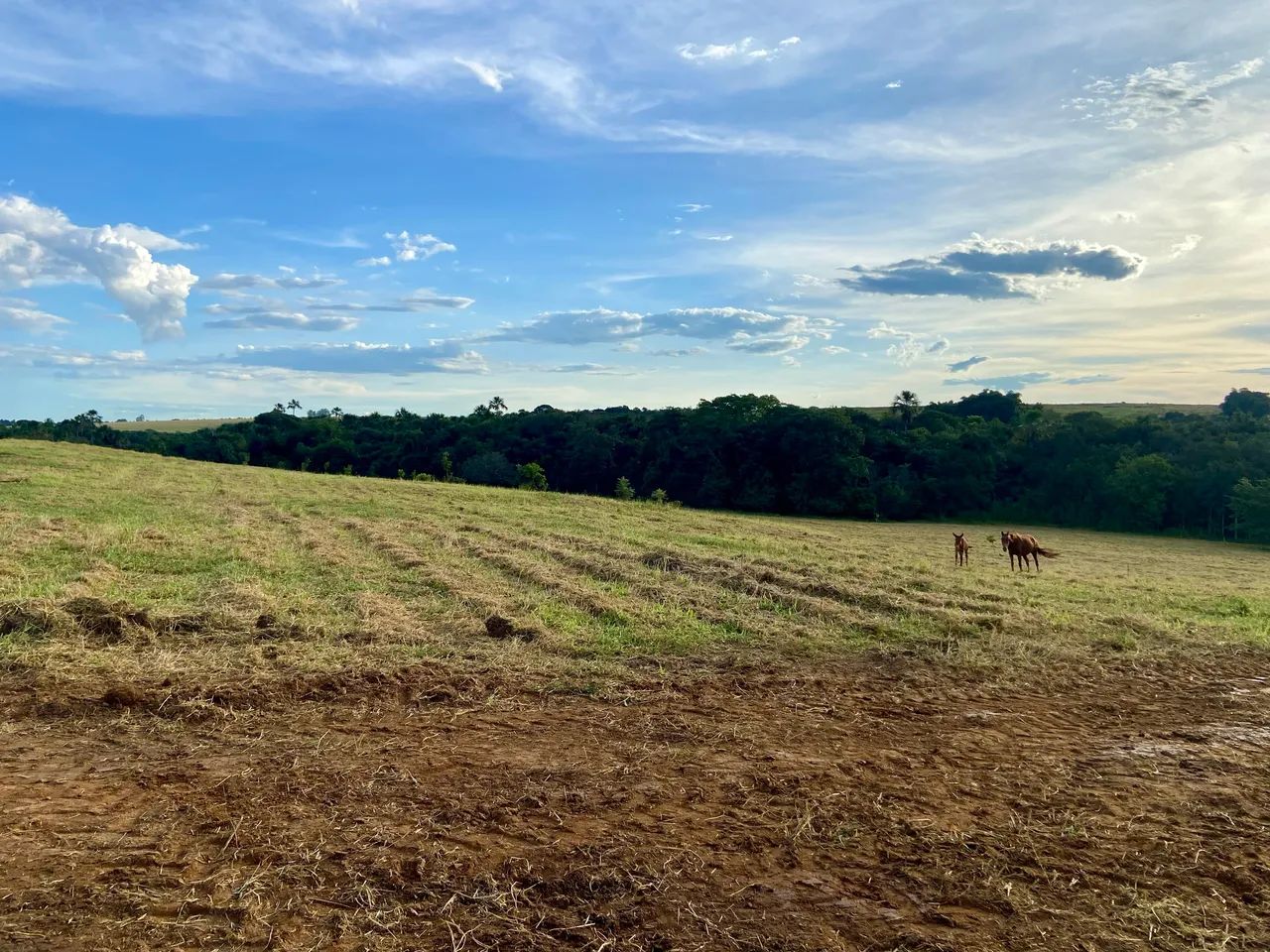 Chácara parcelada no RIO URU - 20.000 m2 - Terrenos, sítios e fazendas ...