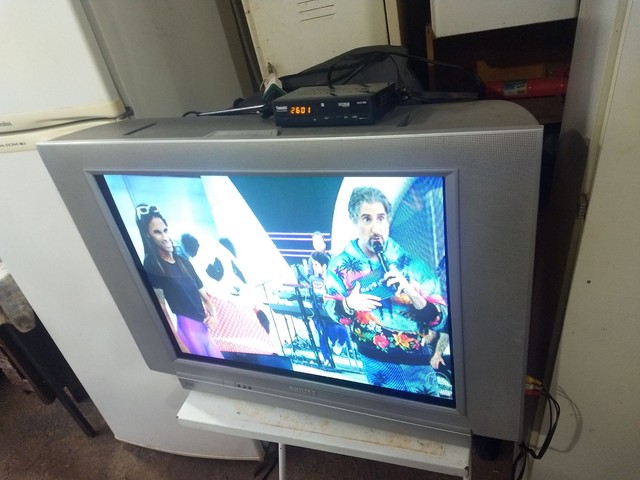 Tv 29 polegadas tela plana | +63 anúncios na OLX Brasil