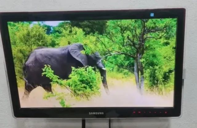 "monitor tv samsung 24 full hd" no Brasil