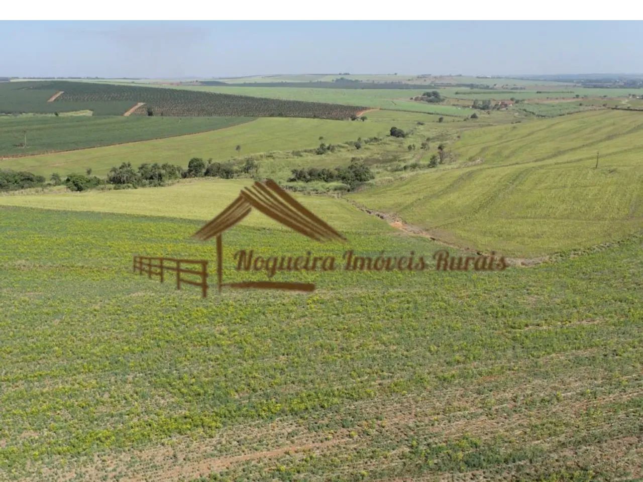 Fazenda com 300 hectares - Terrenos, sítios e fazendas - Holambra ...