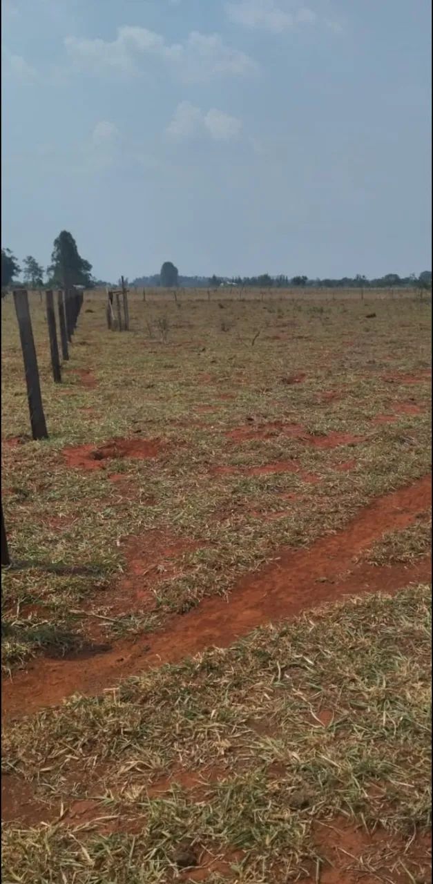 Terreno rural - Terrenos, sítios e fazendas - Área Rural de Tangará da ...
