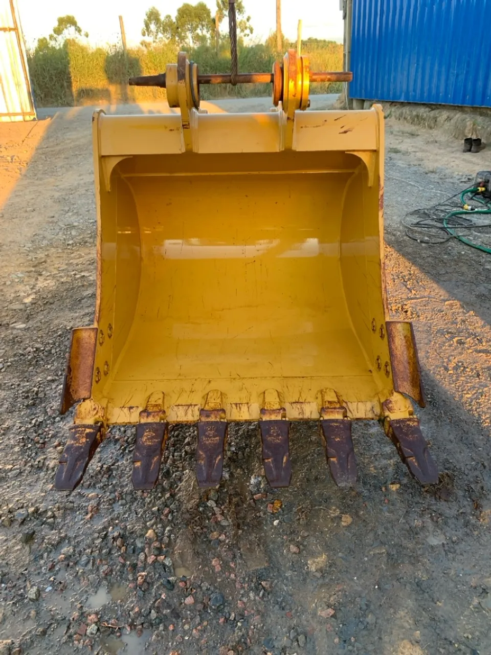 "concha cat" no Brasil