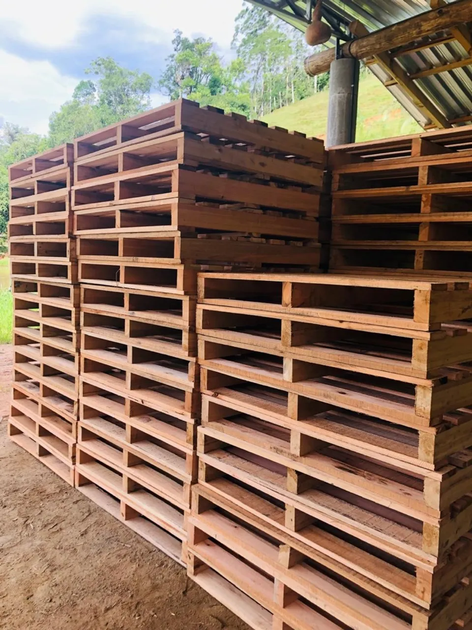 "palletes de madeira" no Brasil