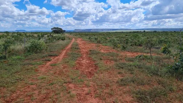 Fazenda de 4.600 Hectares, sendo 2.800 Hectares para lavoura com ...